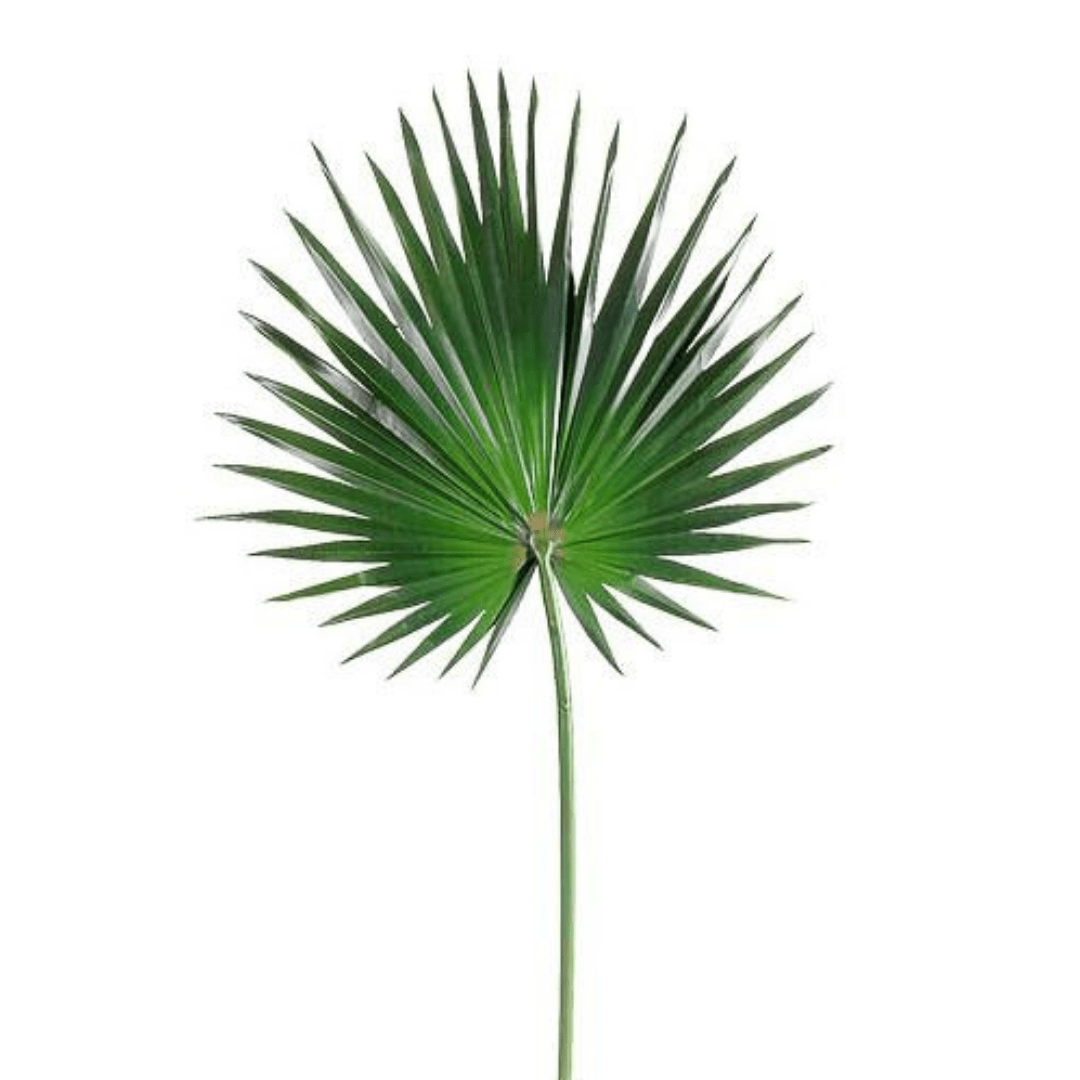 Full Faux Fan Palm – Megan Molten