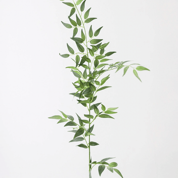 Faux Italian Ruscus Branch – Megan Molten