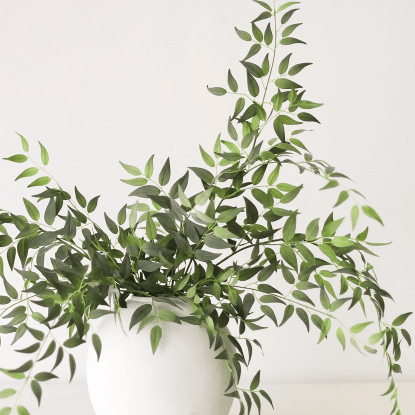 Faux Italian Ruscus Branch – Megan Molten