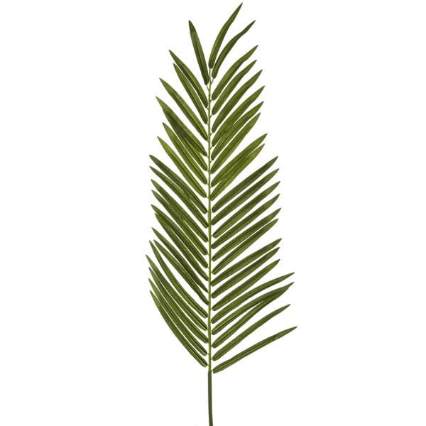 Palm Leaf Spray – Megan Molten