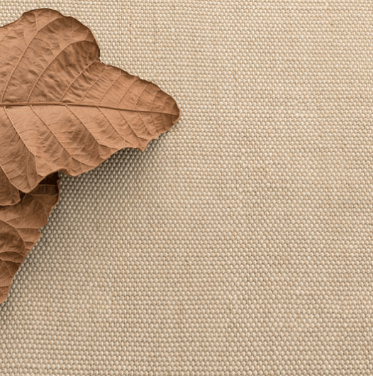 Pebble Indoor/Outdoor Rug- Natural – Megan Molten