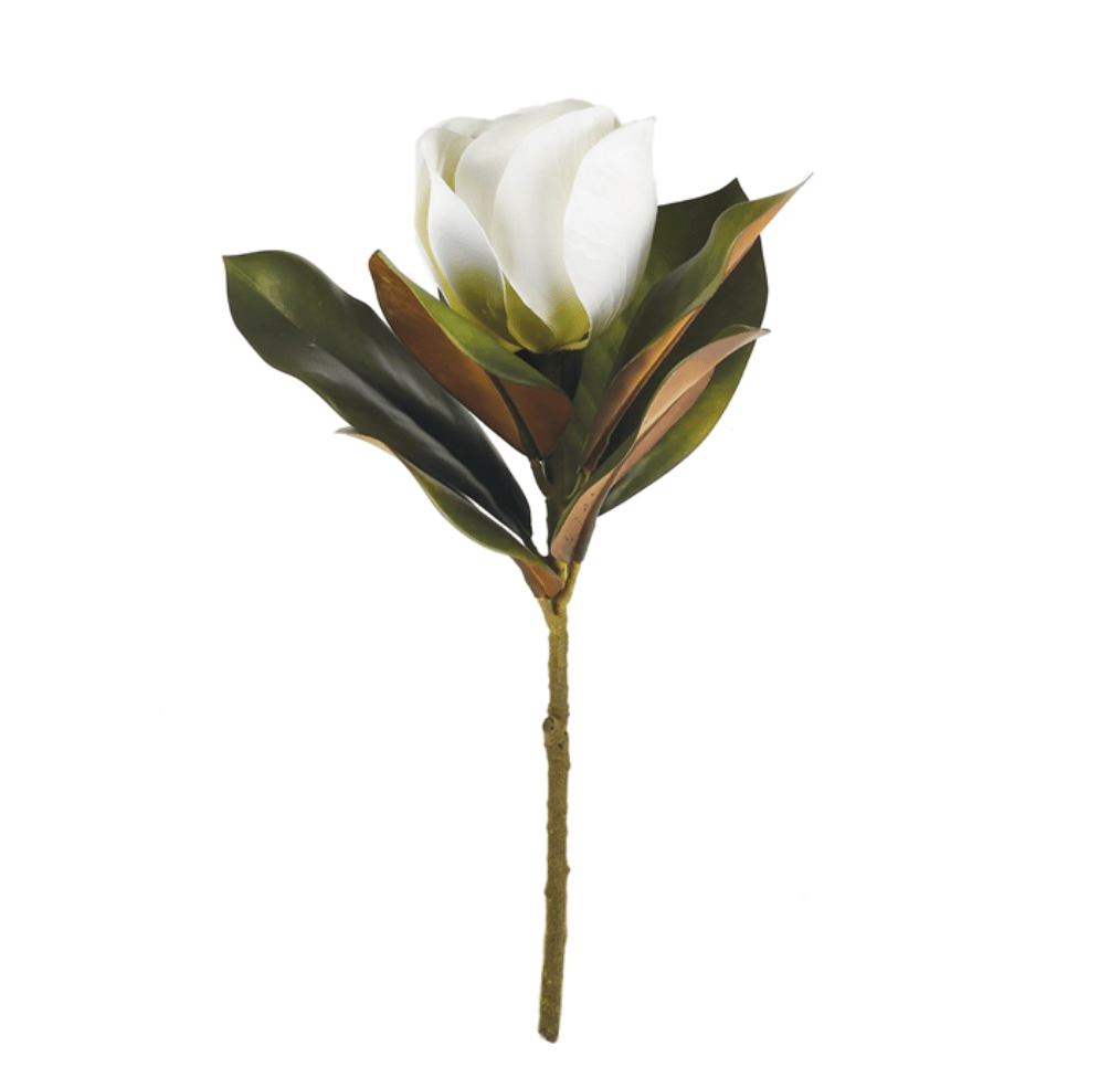 Magnolia Stem – Megan Molten