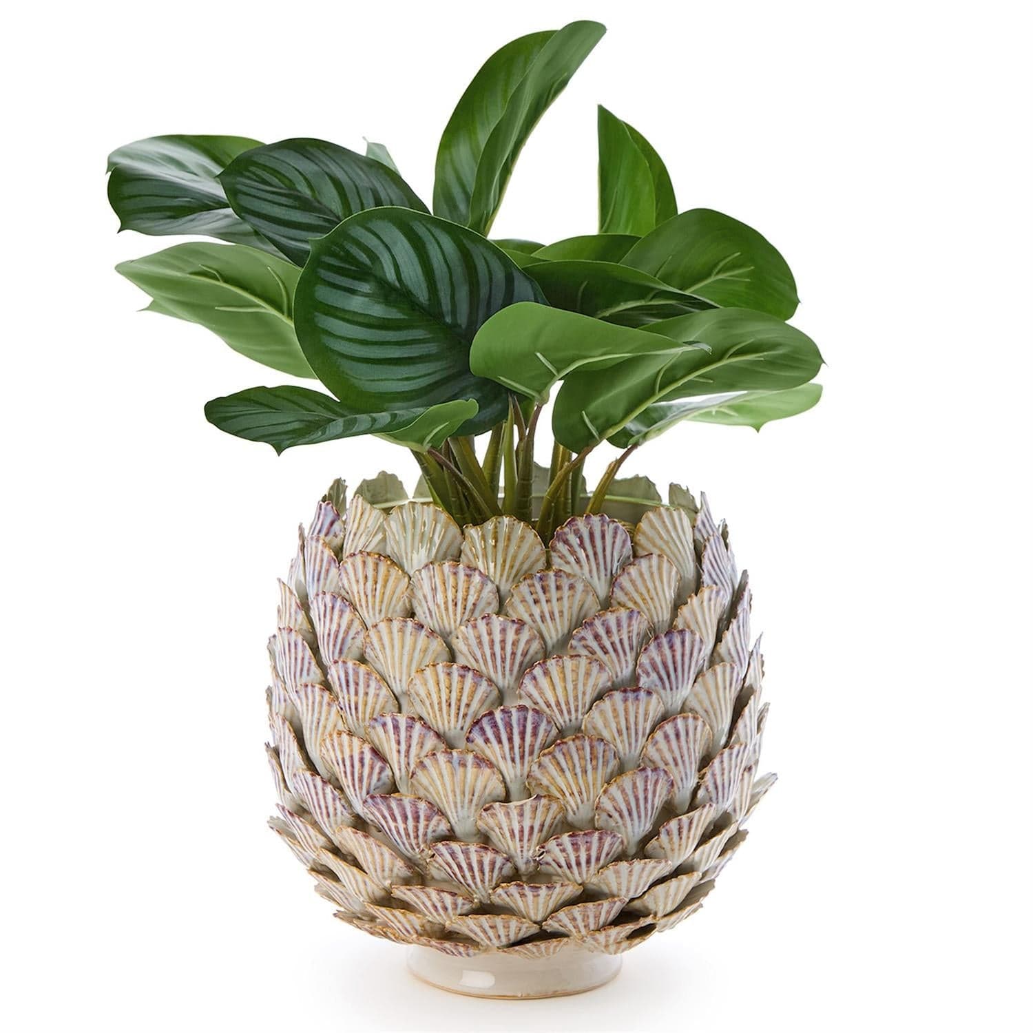 Fan Shell Hand Crafted Planter – Megan Molten