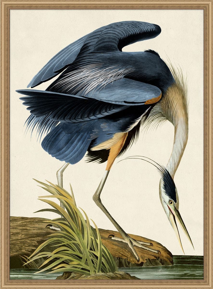 Blue Water Bird – Megan Molten