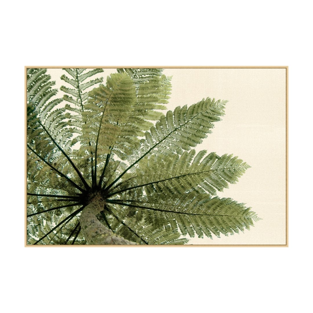 Palm Perspective – Megan Molten