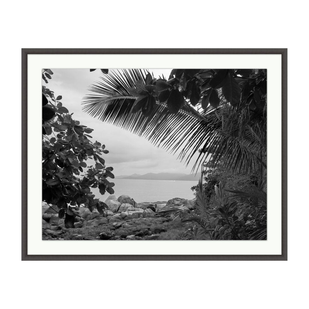Tahitian Palm – Megan Molten